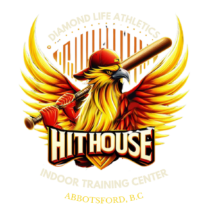 Abbotsford Angels Hardball Association – Minor Baseball